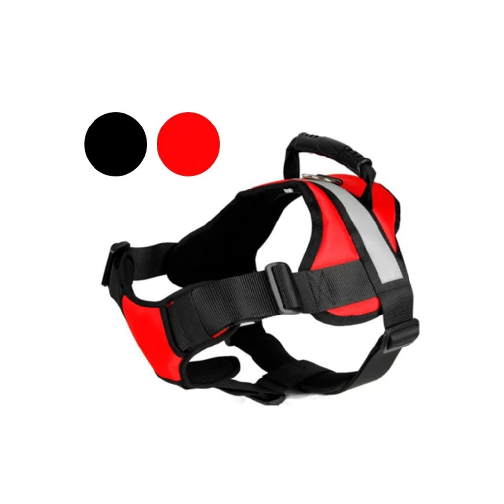 ARNES PARA PERRO MAYAN TERRIER | El Rejo Web